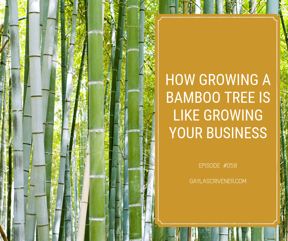 How Growing a Bamboo Tree is Like Growing Your Business - Gayla Scrivener
